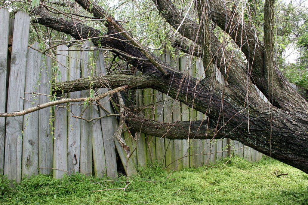 How To Keep Your Fence Safe From Summer Storm Damage - Hercules Fence